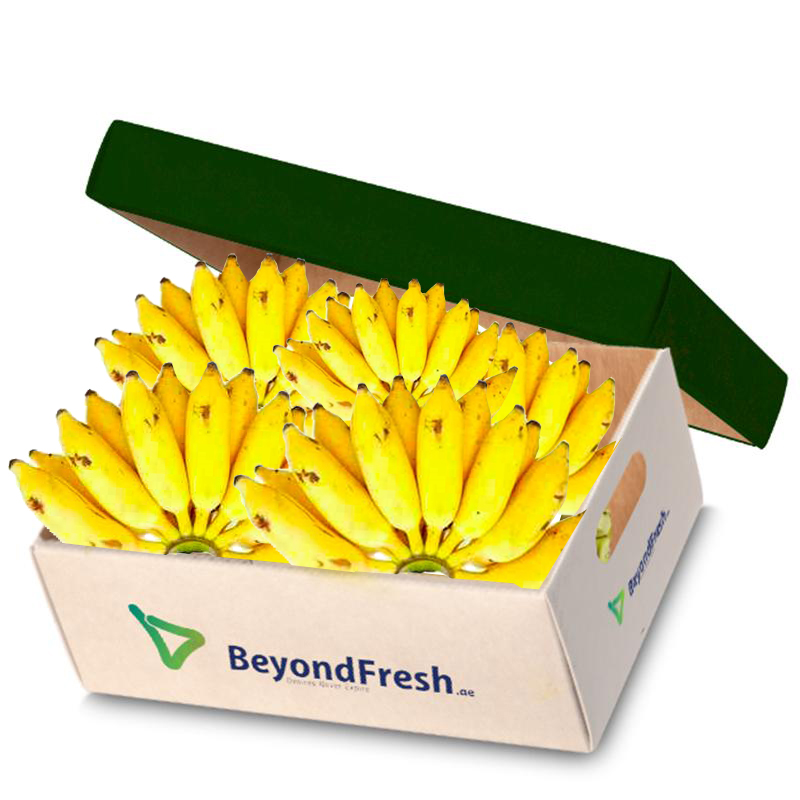 Beyond Fresh - Best Online Store for Baby Food